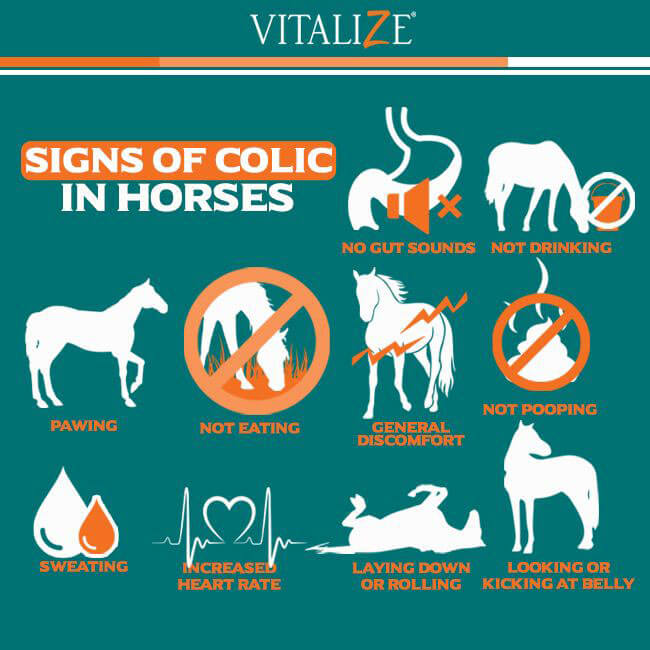 What is Colic?