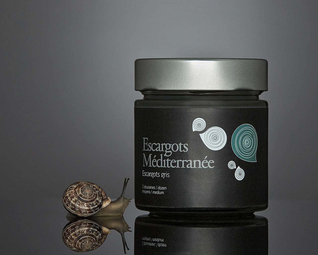 Escargots Méditerranée | Lazy snail Design