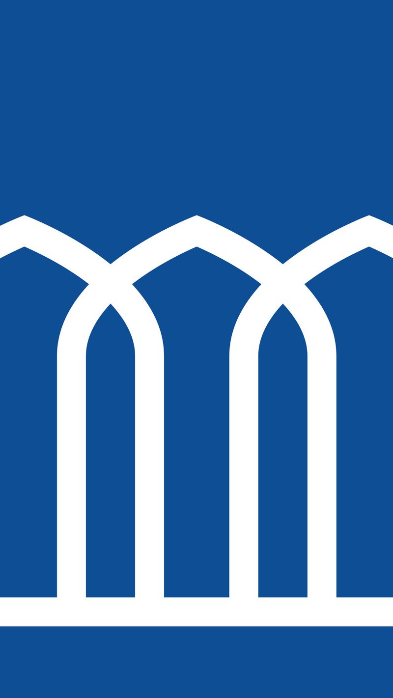 Most | Lazy snail Design