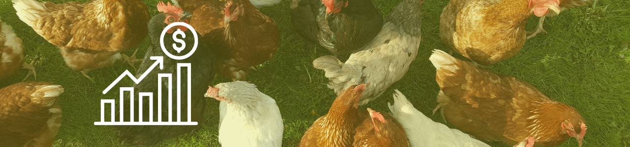 Maximizing Profit in Poultry Farming with PoultryPlan