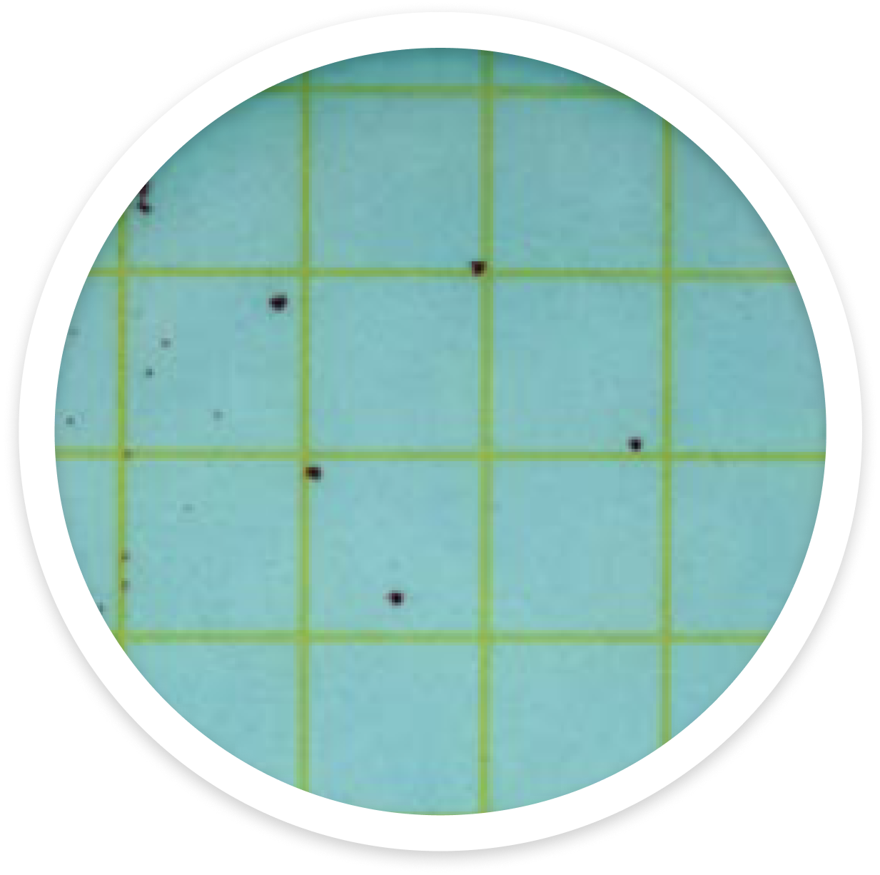 Analytical Test Library Lactic Acid Bacteria Test