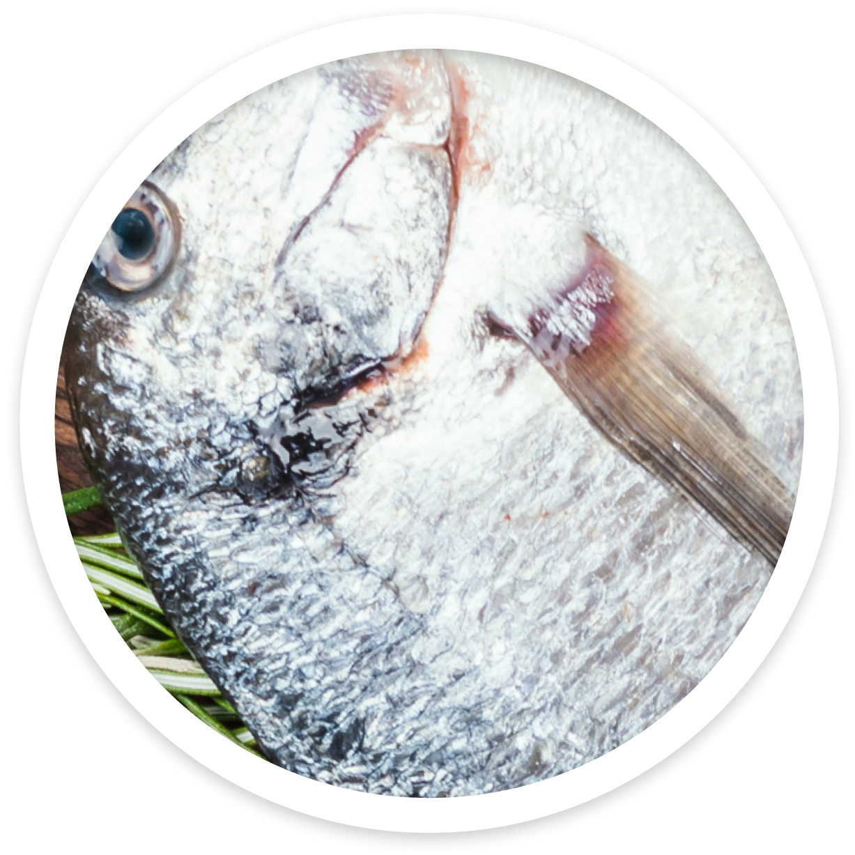 Analytical Test Library | Fish Allergen Test