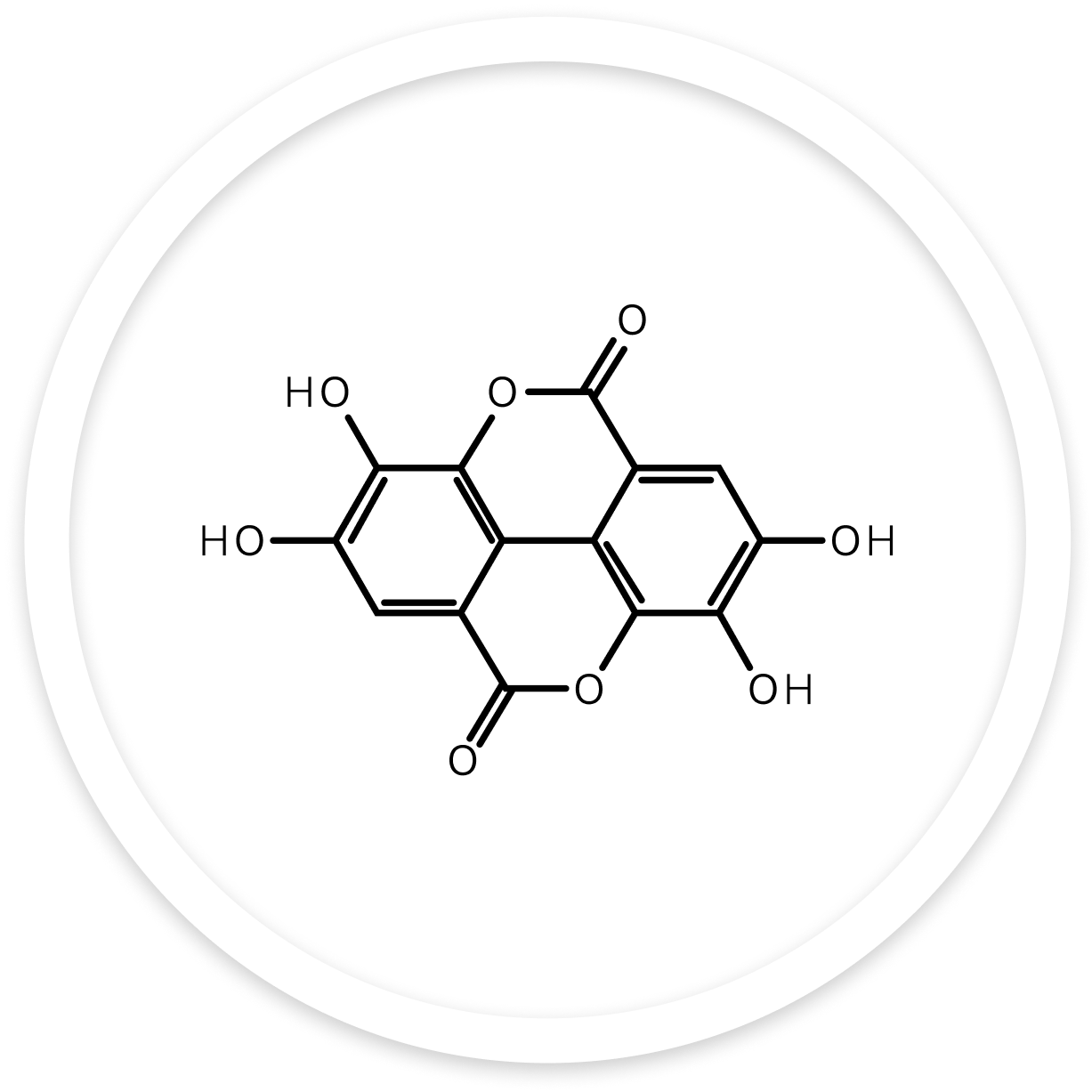 Analytical Test Library | Polyphenols Test - Total