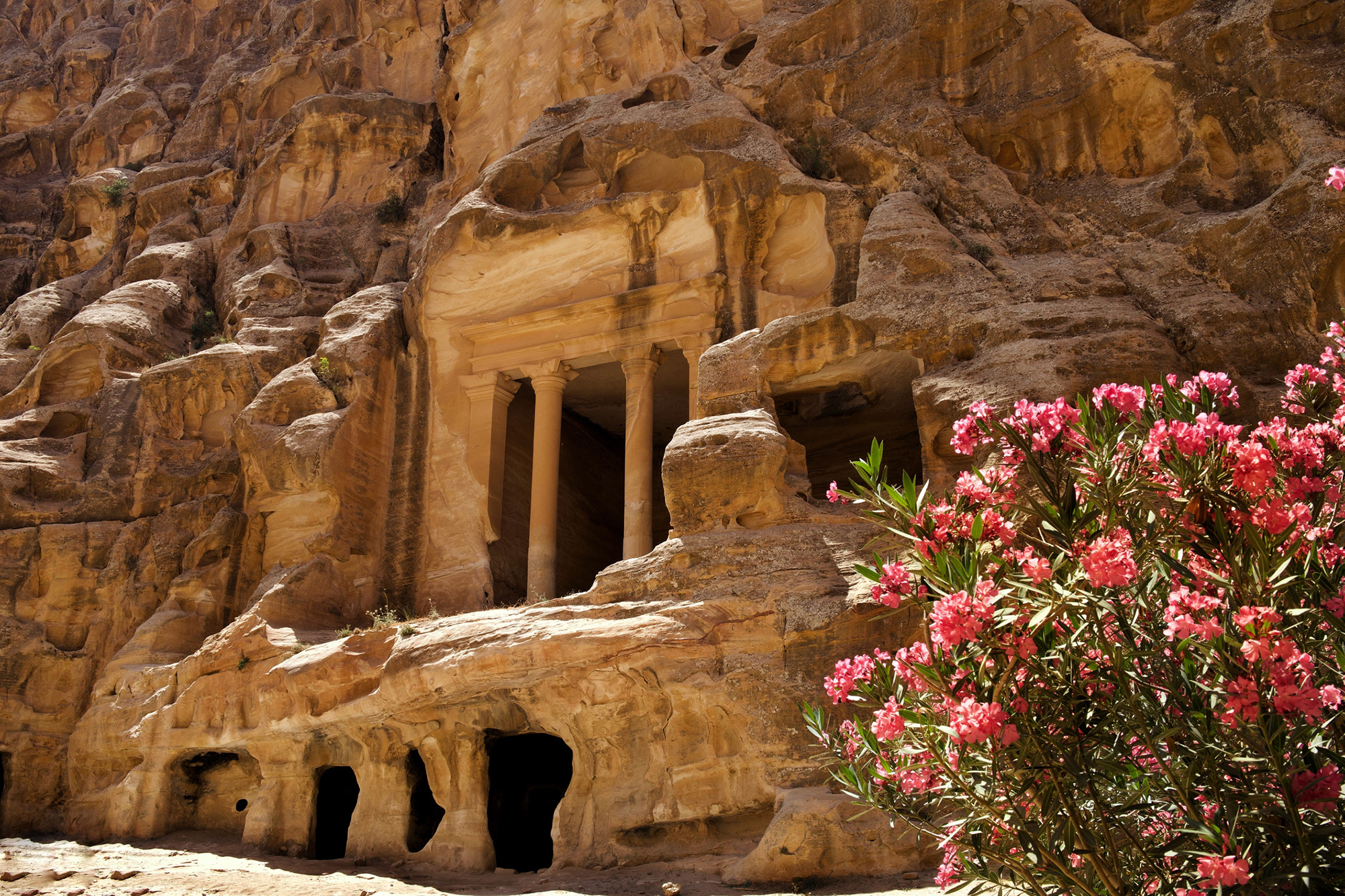 Best vacation rentals in Petra, Jordan