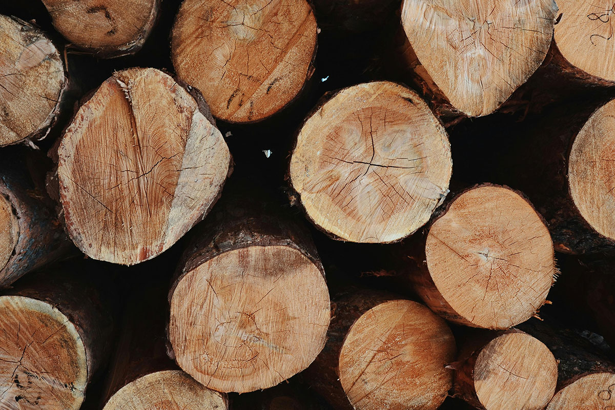 Transport and logistics for major timber industry importer Champion Timber