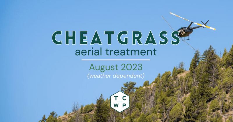 Second Round of Cheatgrass Mitigation Begins in August | Teton County ...