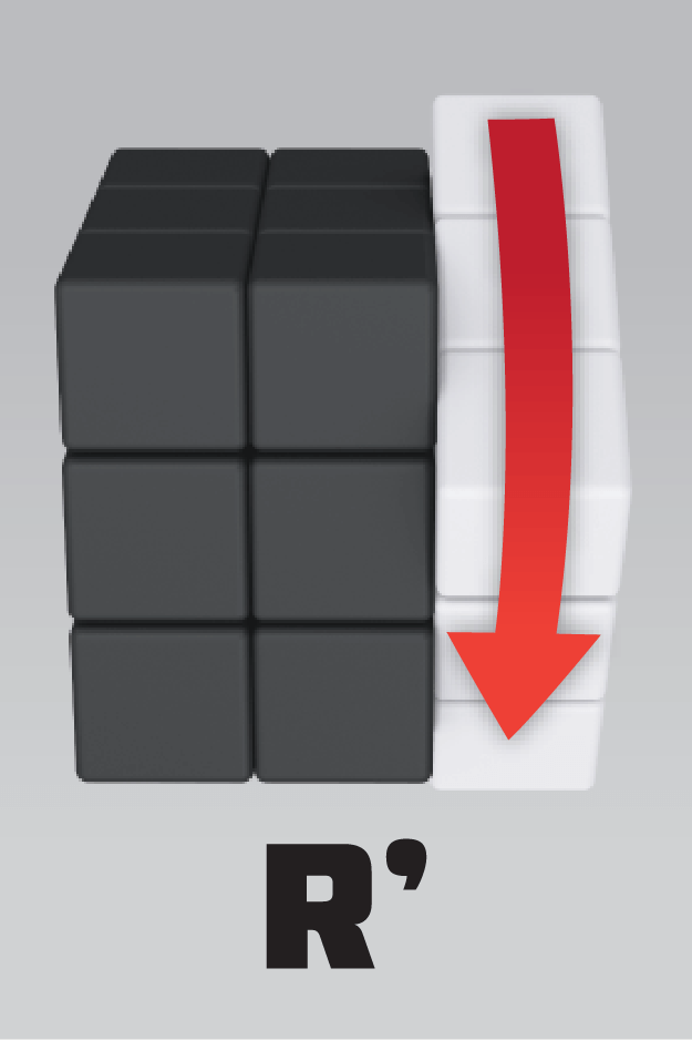 Solve Your First Rubik’s Cube with the Coach Cube!