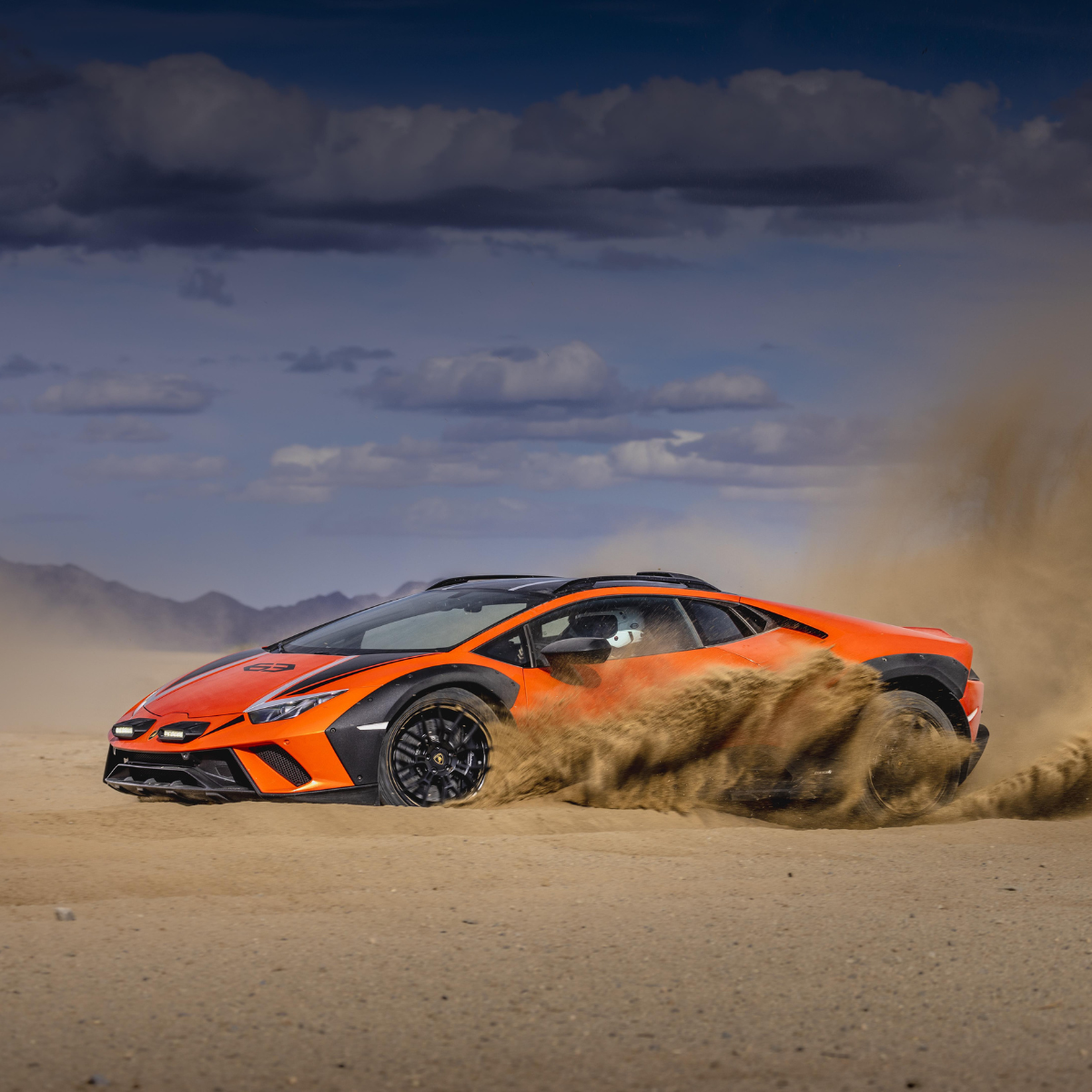 What is Rally Car Racing: A Beginner's Guide | JRZY