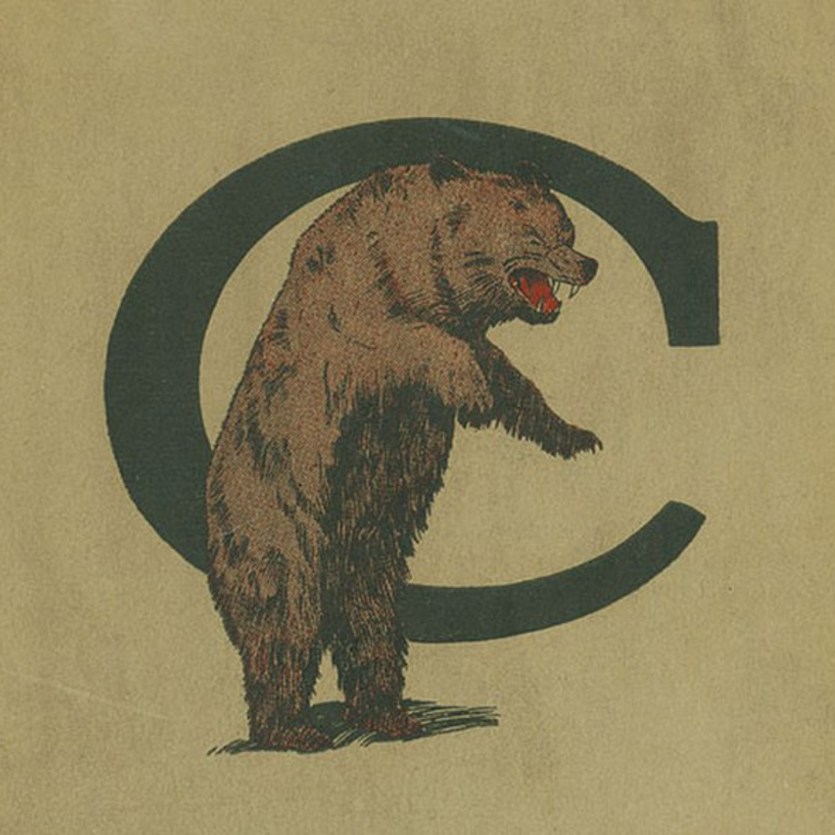 What Exactly is a Bearcat, the Mascot of the University of Cincinnati ...