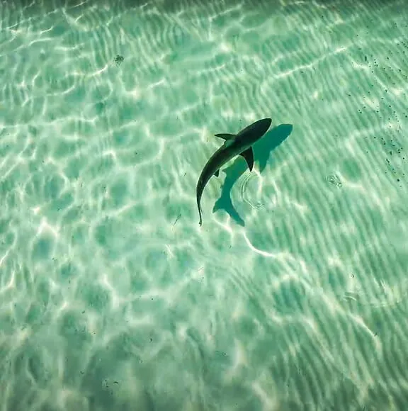 Aerial Photography and Filmography | Drone Sky Visuals