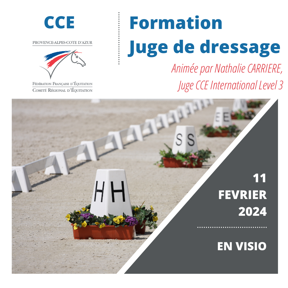 Formation CCE Juge dressage