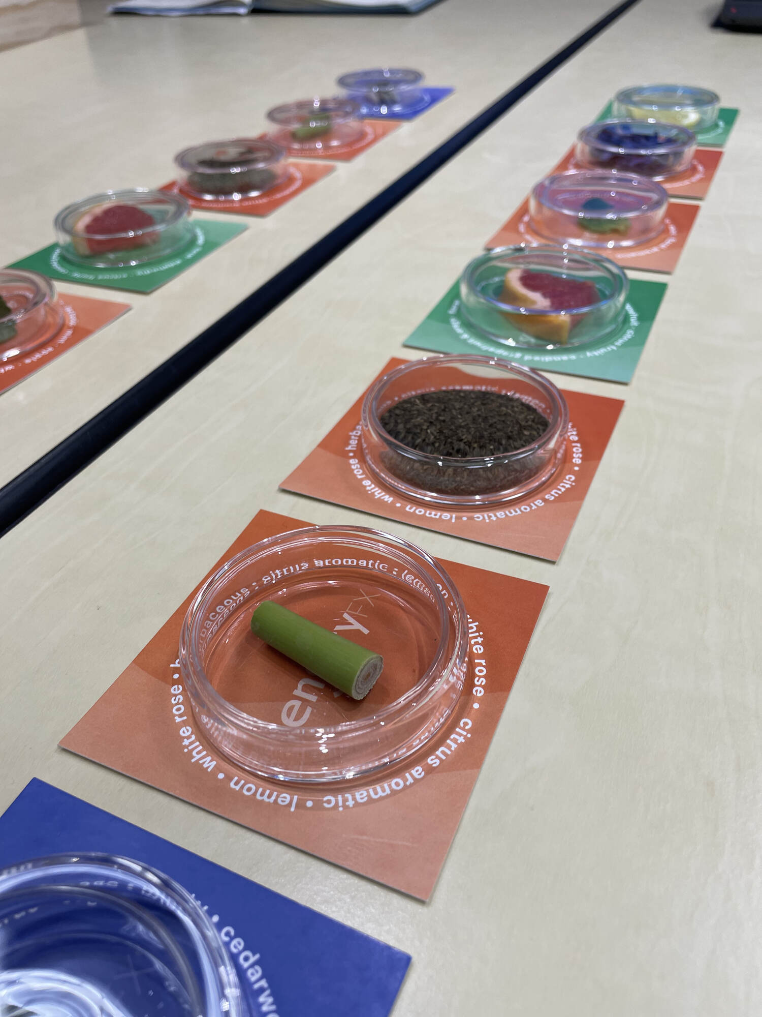 SENSORY FX