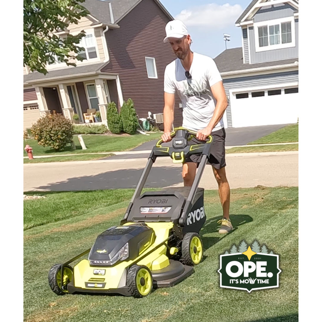 The Basics of Dethatching Your Lawn