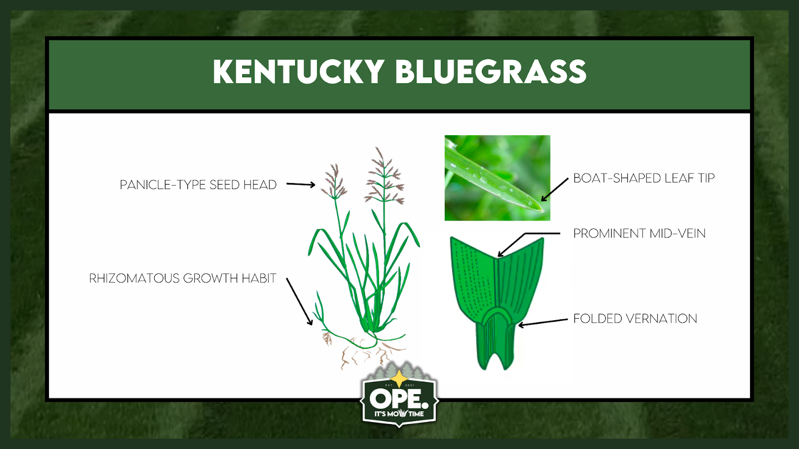 Know Your Surroundings