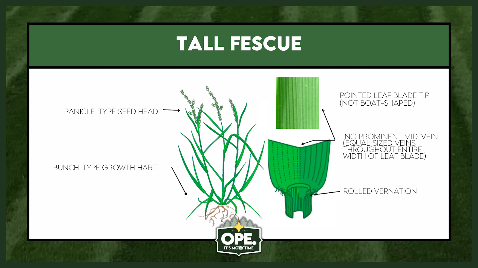 Know Your Surroundings