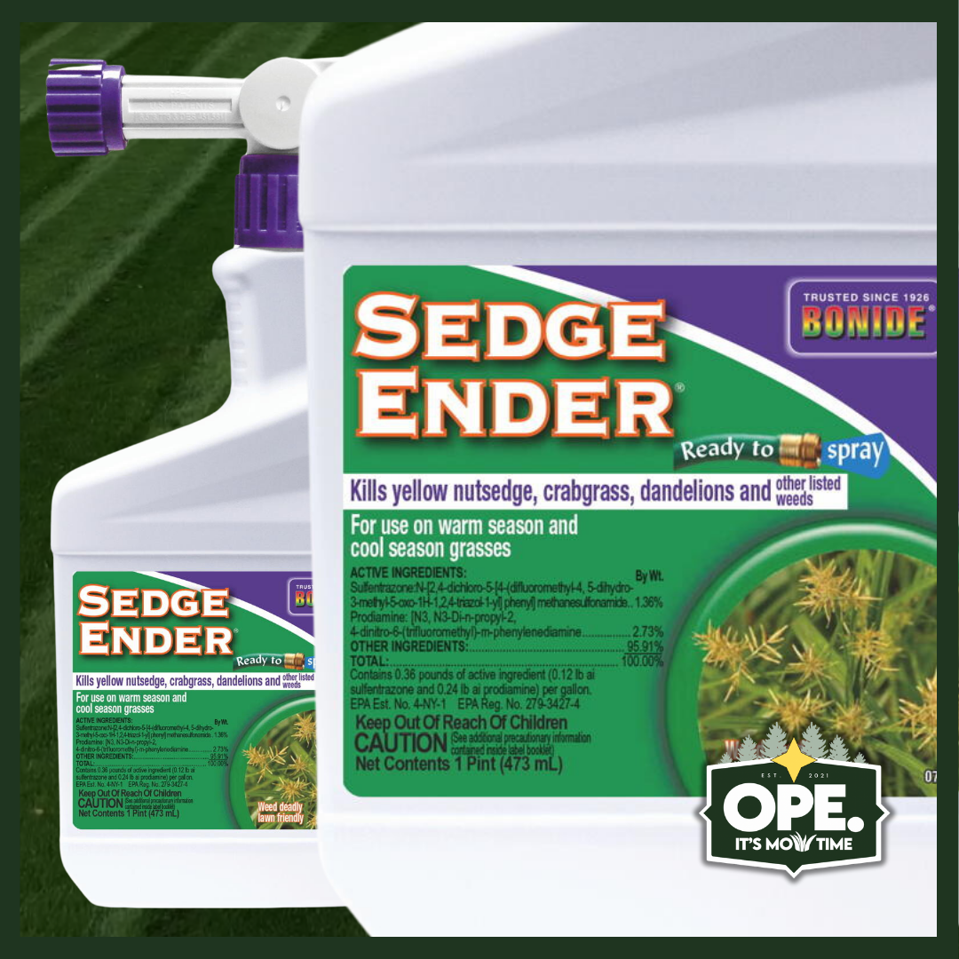 Preventing & Managing Weeds in Your Lawn