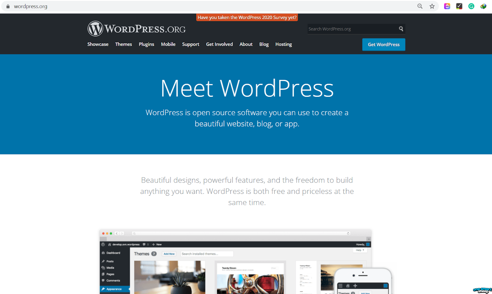 What is WordPress? Explained for Beginners [Visual Examples]