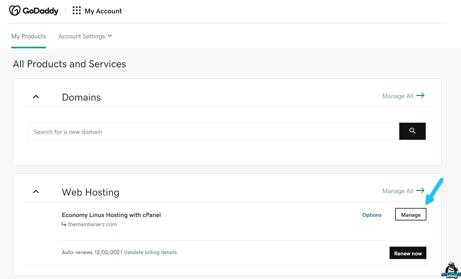 How to Install WordPress on GoDaddy in 2024 (Visual Guide)