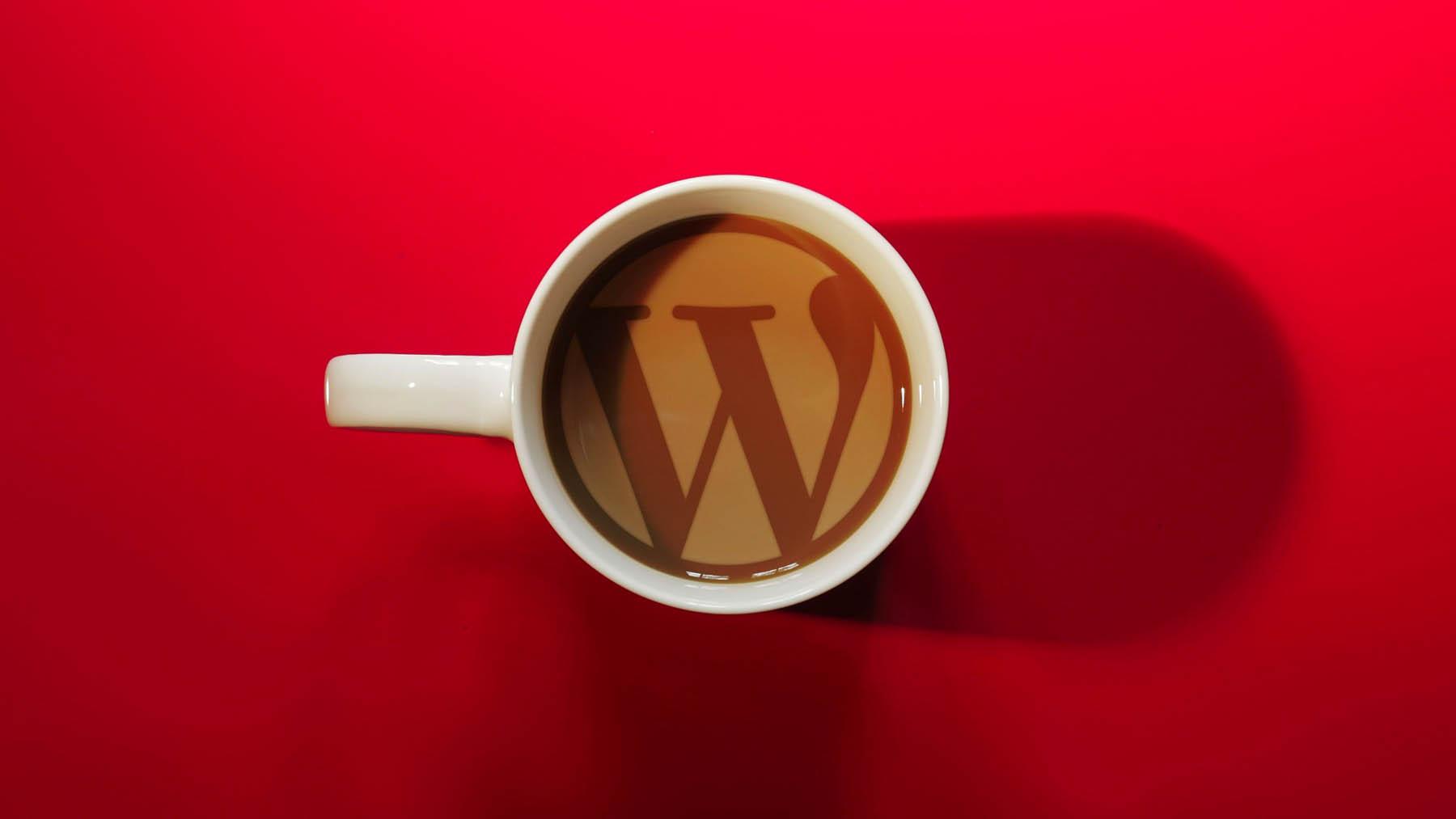 What is WordPress? Explained for Beginners [Visual Examples]