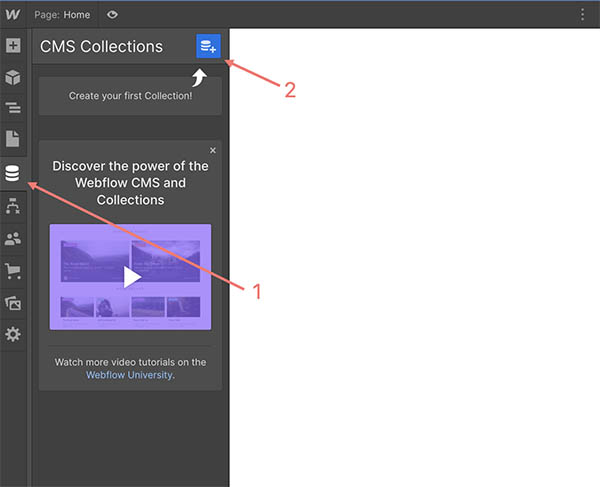 How to Use Webflow CMS to Create a Professional Website