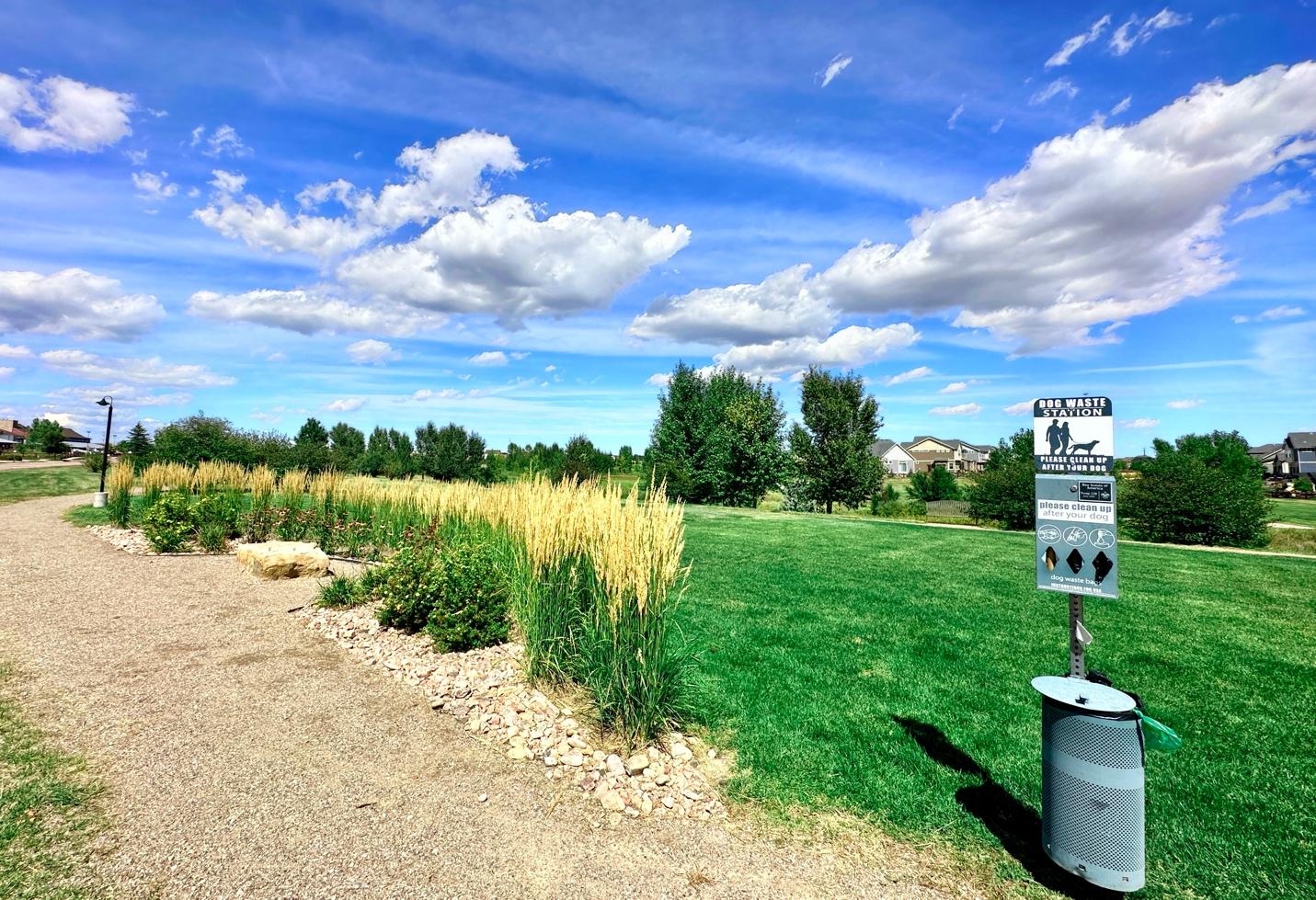 Colorado Scapes - Services