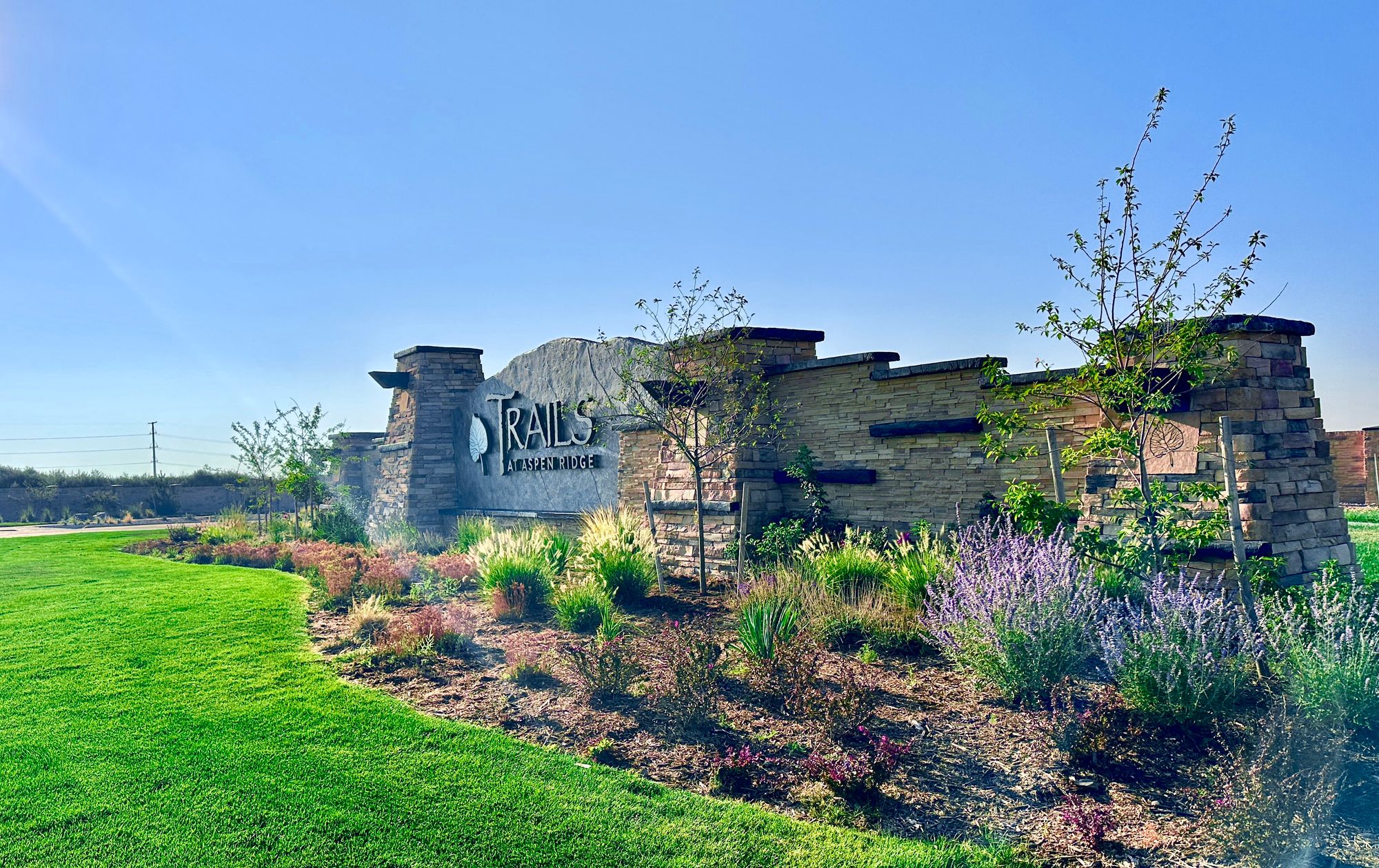 Colorado Scapes - Home