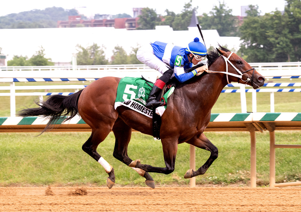 MTHA Now Providing Custom Towels For Stakes