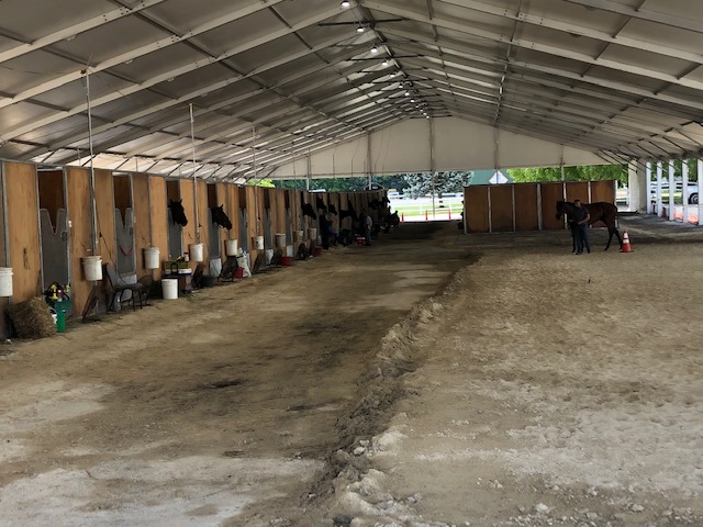 Second phase of Pimlico barn transition underway