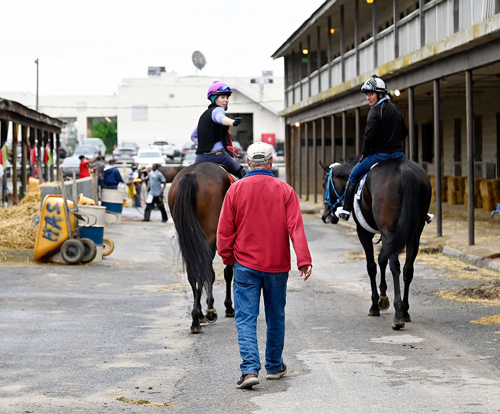 Maryland State Fair Offering Barn Awards