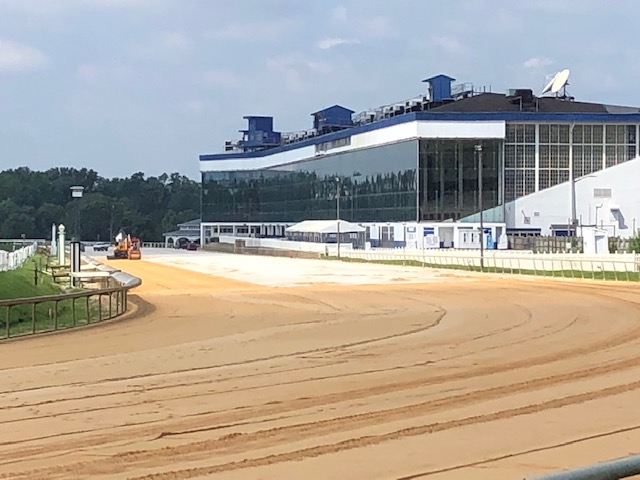 Laurel surface reconstruction remains on schedule