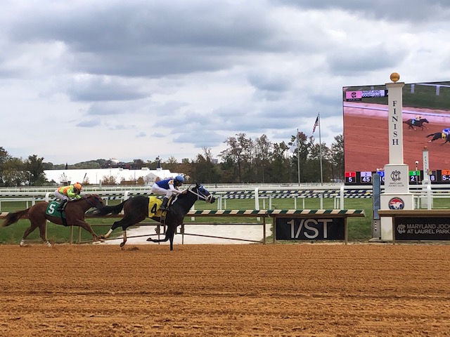 Maryland Thoroughbred tracks approved for 175 race dates in 2022