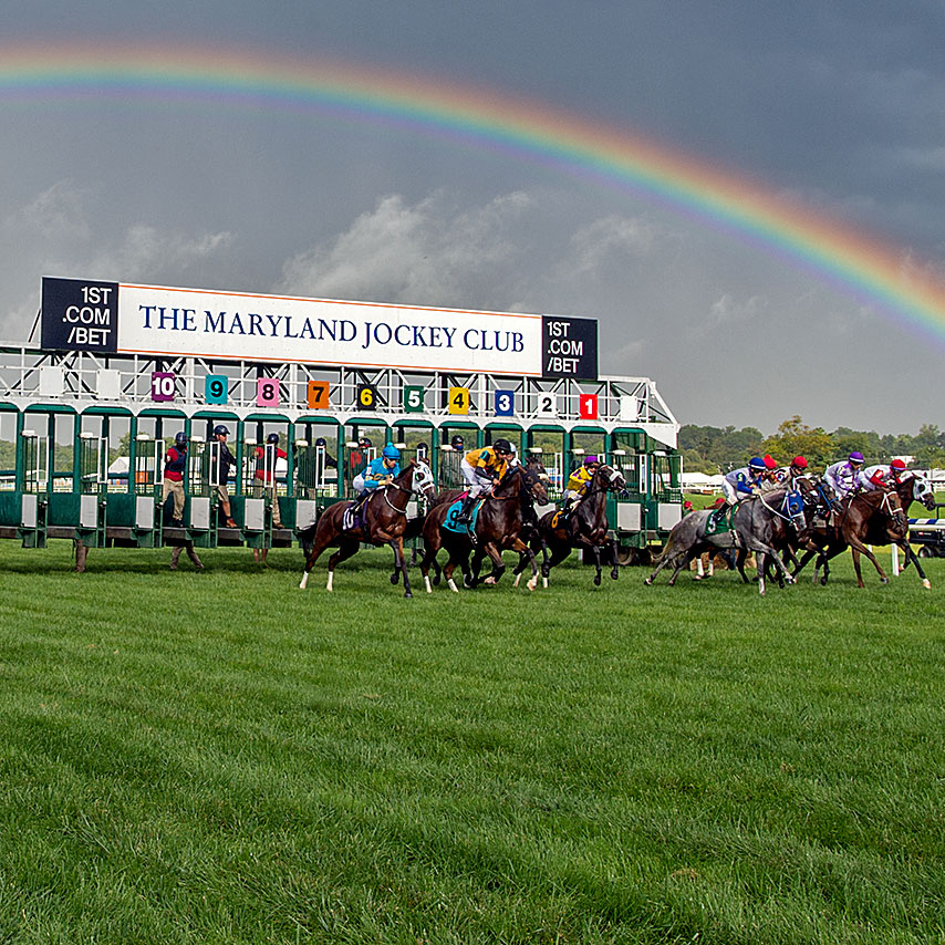 MJC INVESTING IN TURF COURSES