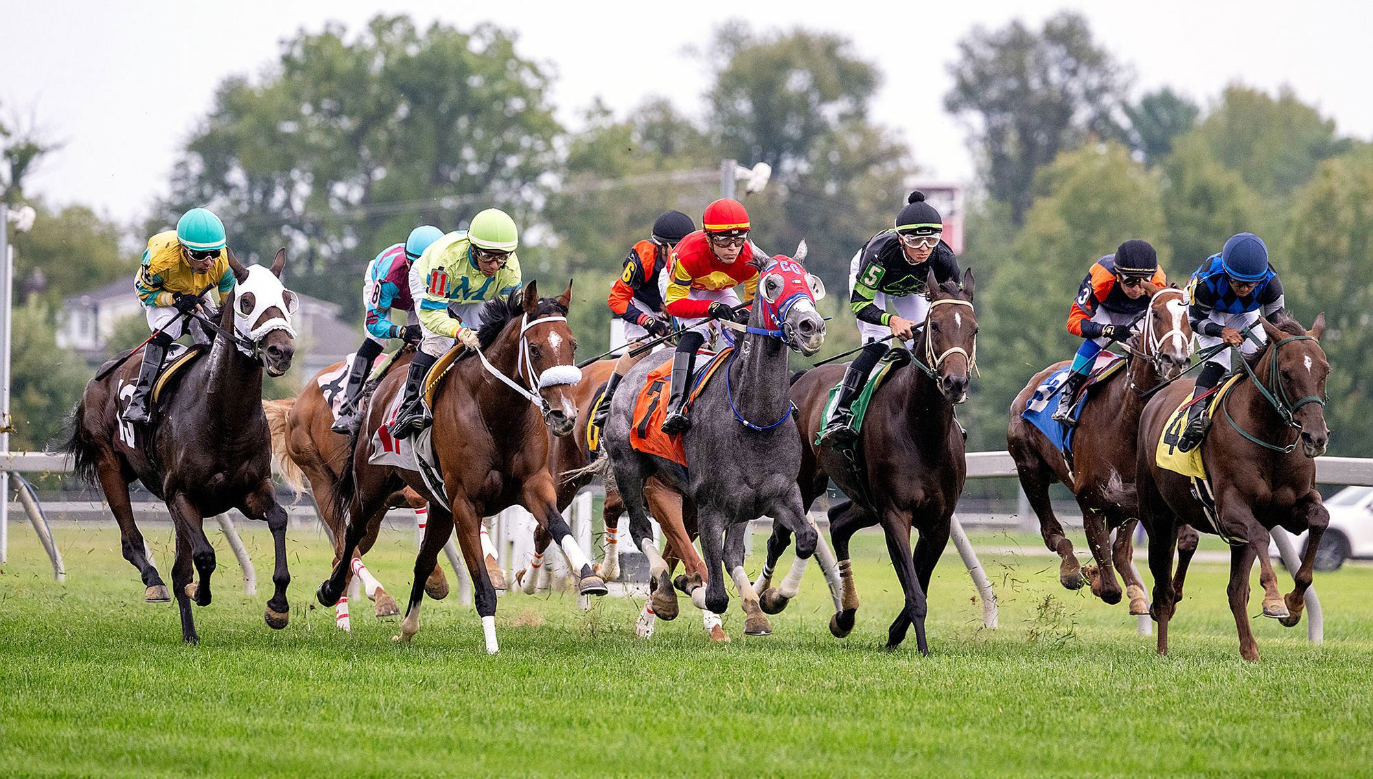 Numbers Demonstrate Maryland Turf Racing As A National Leader