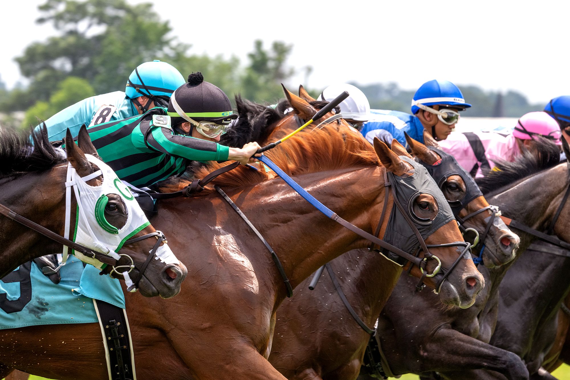 MARYLAND’S THOROUGHBRED HORSEMEN AND BREEDERS ANNOUNCE ONE-YEAR ...