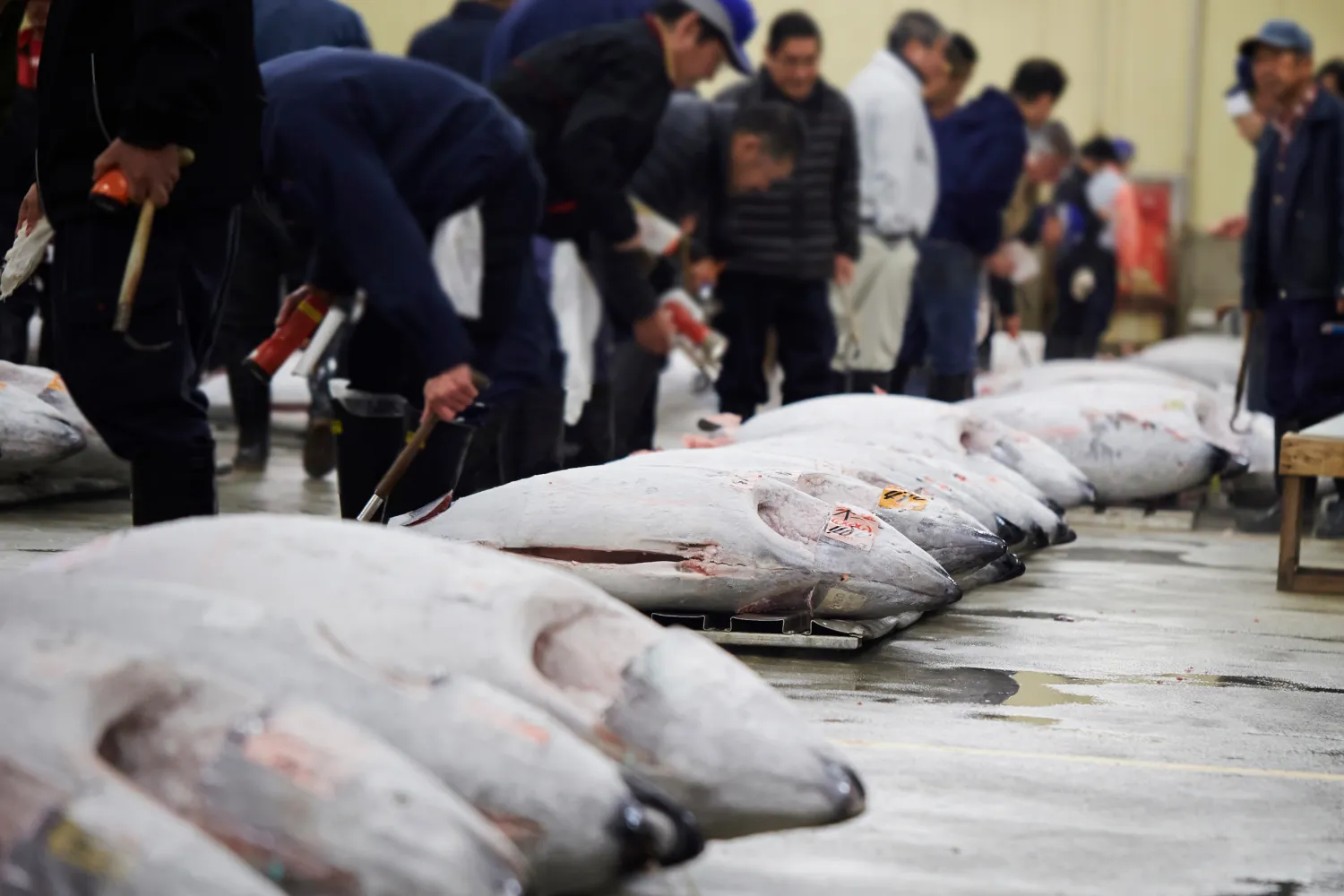 Home [www.foodgod.com]