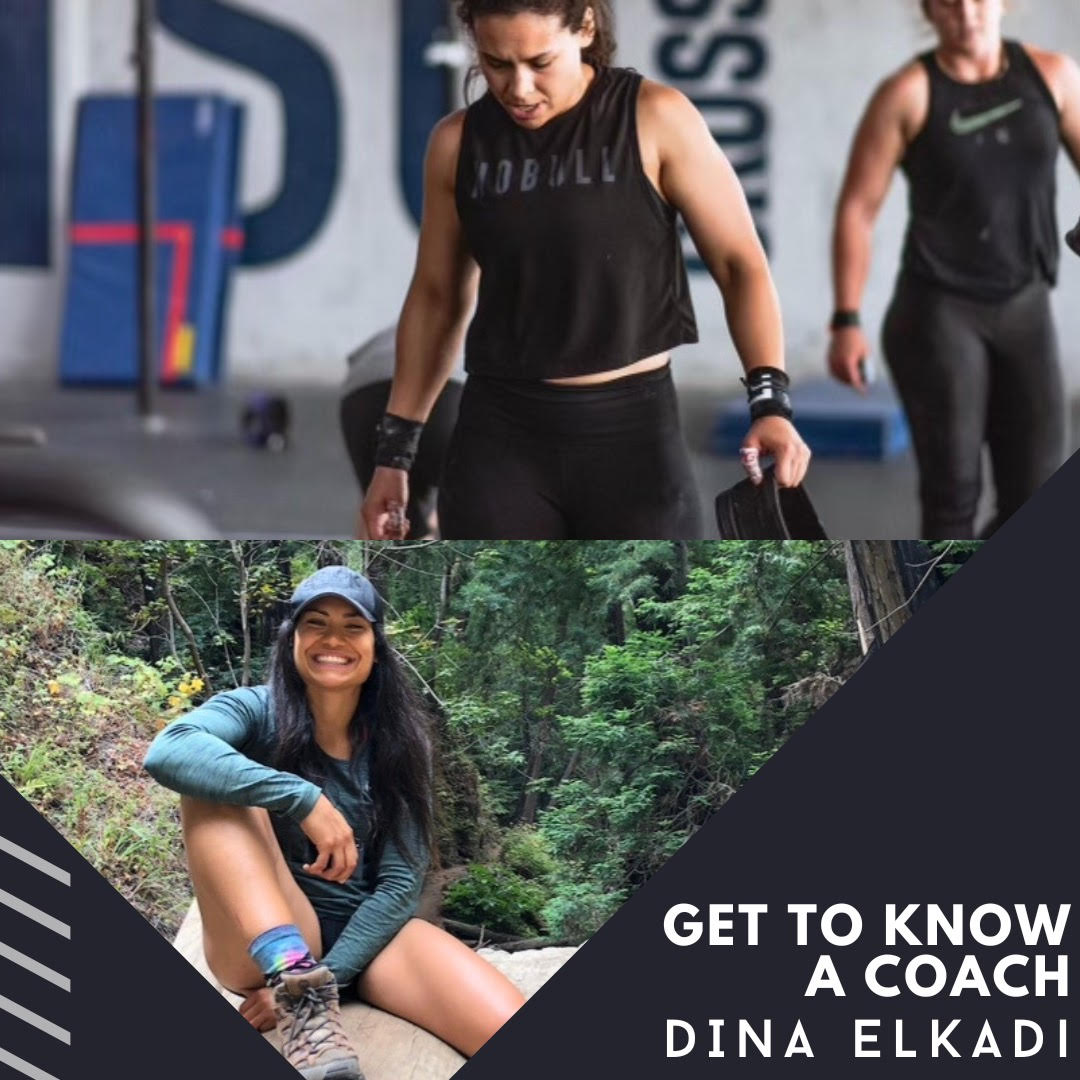 Get to Know a Coach - Coach Dina