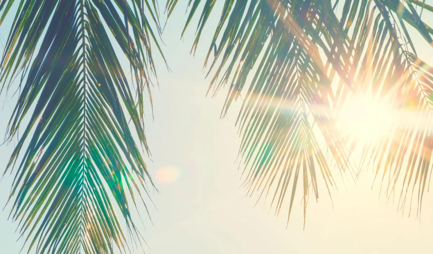 Transitions Xtractive | Petite Optique