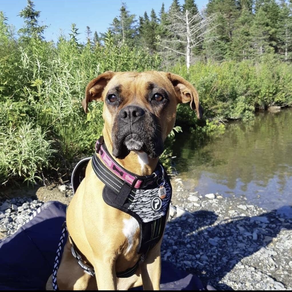 NetBenefit - Our Team