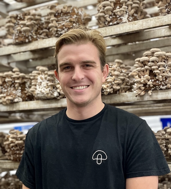 Home | Mycro Harvest - AI-Powered Mushroom Farms