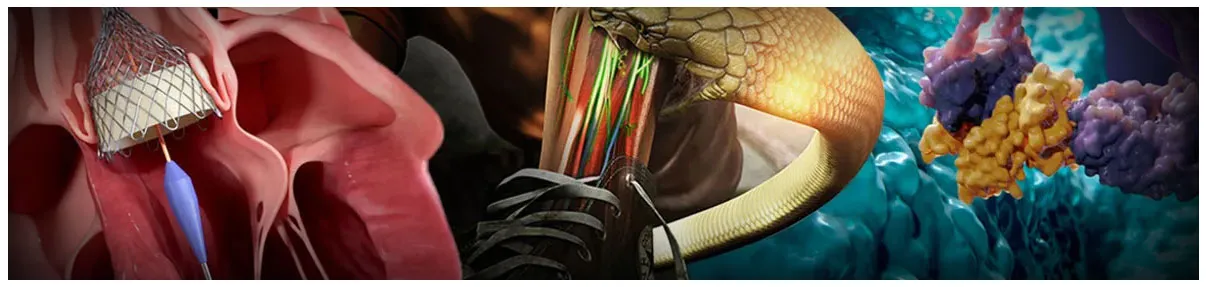 Careers | Ghost Medical Animation + VR Surgery