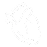 Tendyne™ Transcatheter Mitral Valve Replacement (TMVR) | Video