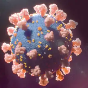 Ghost Medical Animation + VR Surgery