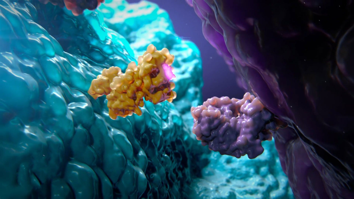 Pharmacology MOA 3D Animation | Ghost Medical