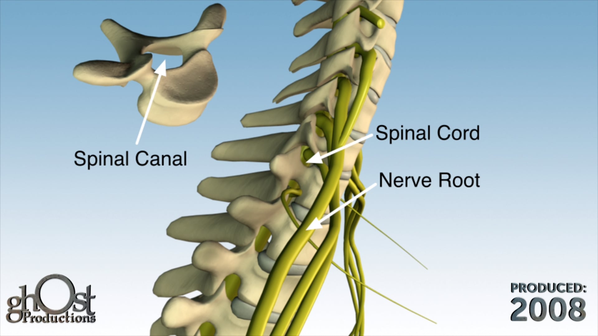 Cervical Link Patient Education | Video