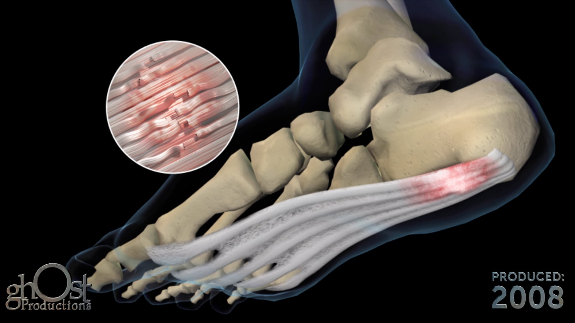 GraMedica | Ghost Medical Client