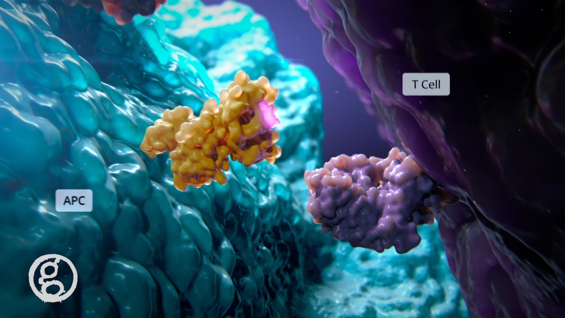 Dermatology Visualization & Animation | Ghost Medical