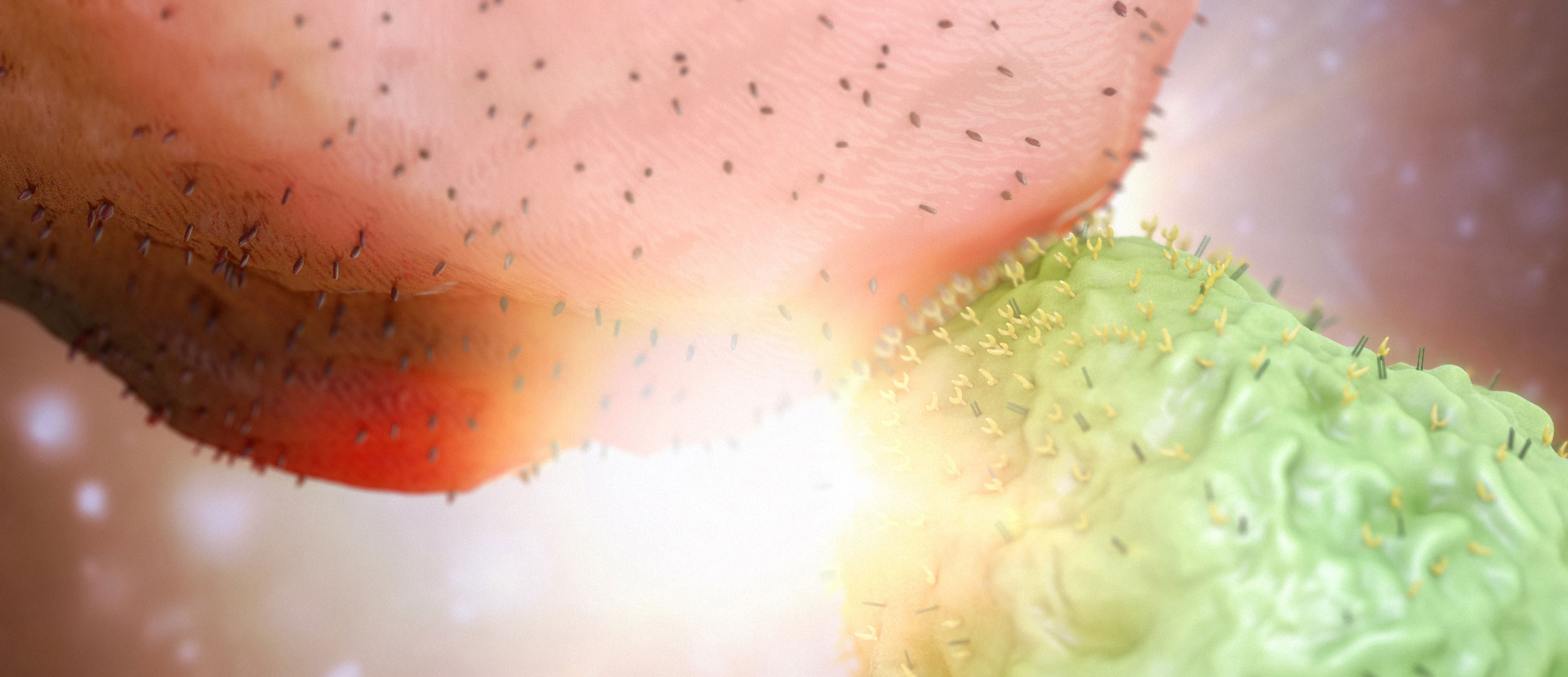 Pharmacology Illustration | Image