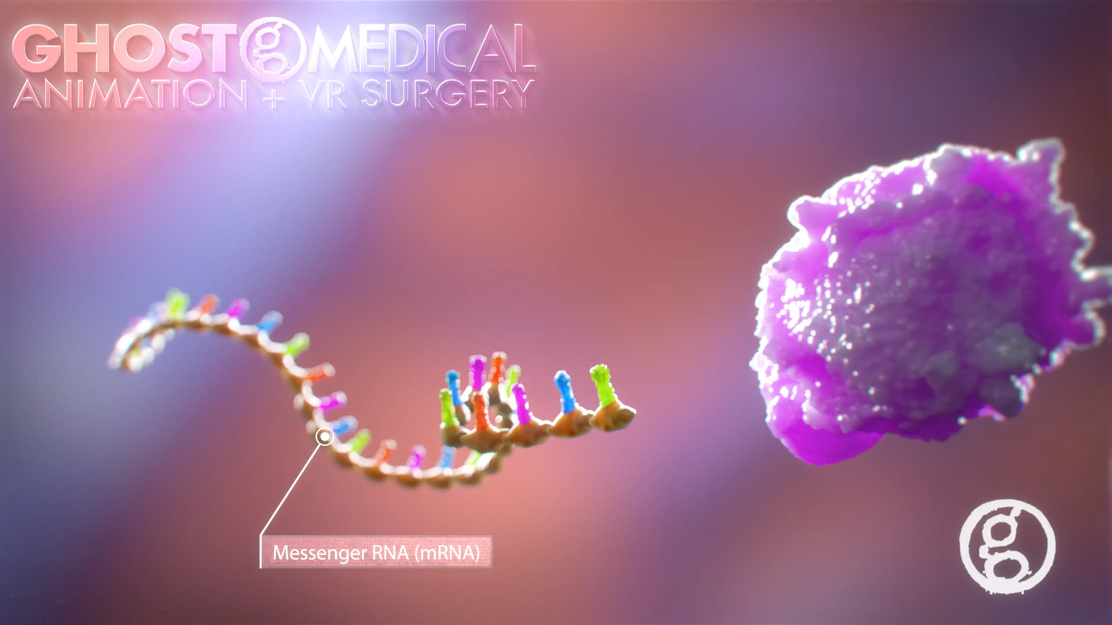 "Free Medical Images and Animations for Covid Vaccine and Prevention"