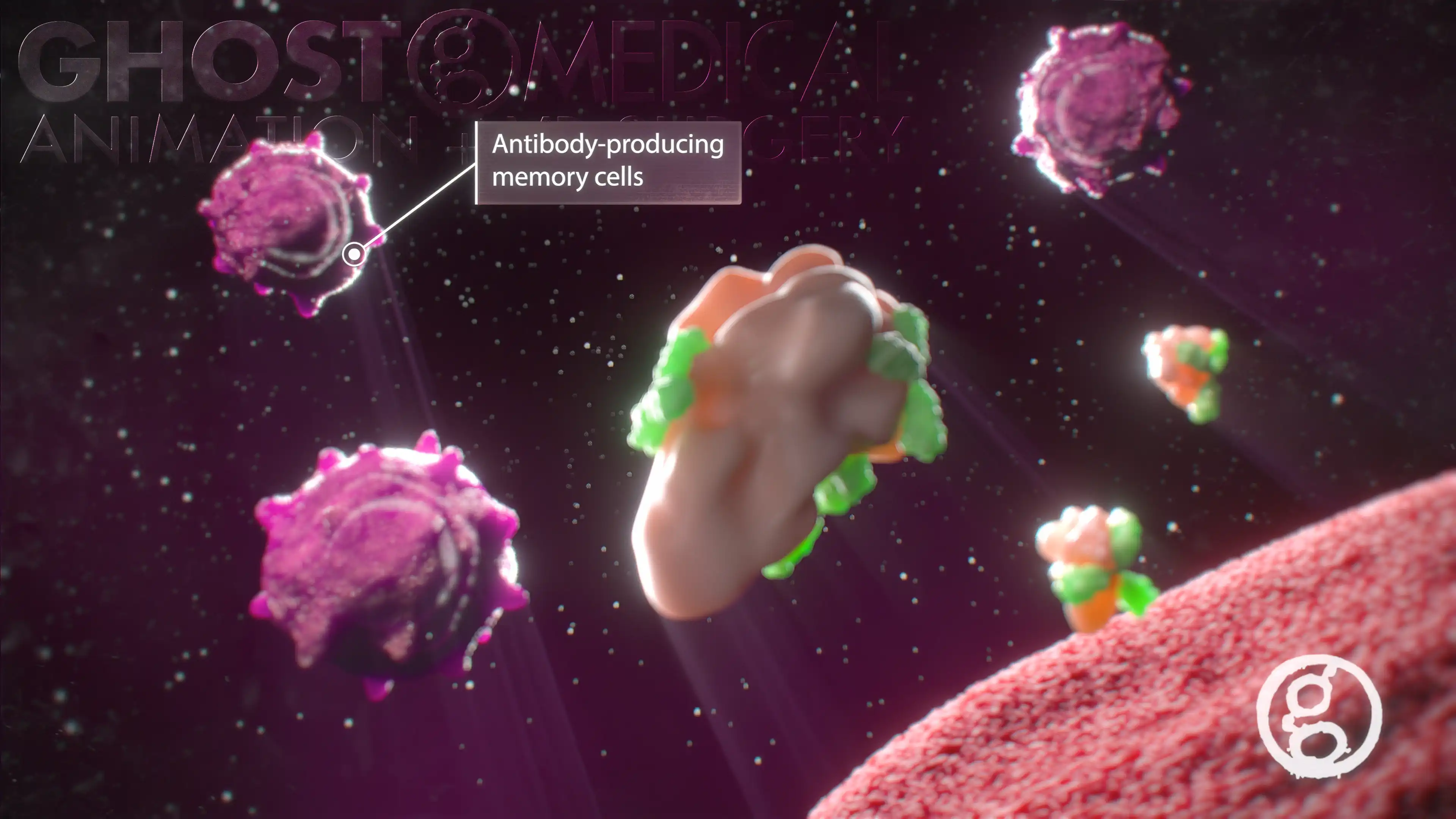 "Free Medical Images and Animations for Covid Vaccine and Prevention"