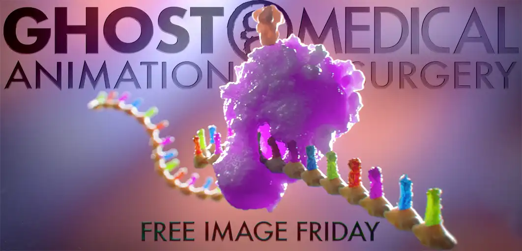 "Free Medical Images and Animations for Covid Vaccine and Prevention"